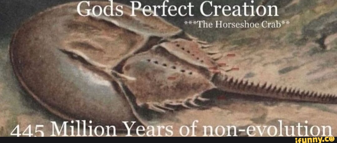 Video memes hb9j5OTvA by Corpus - iFunny