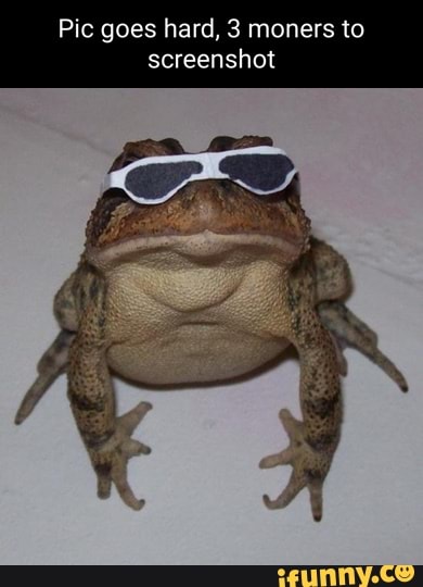 Pic goes hard, 3 moners to screenshot - iFunny