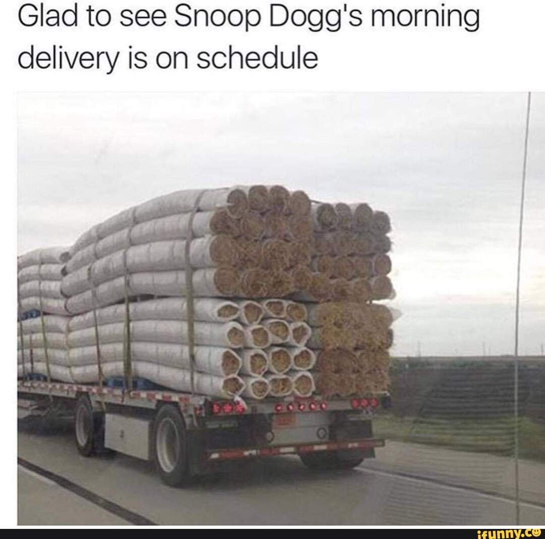 Glad to see Snoop Doge's morning delivery is on schedule - iFunny