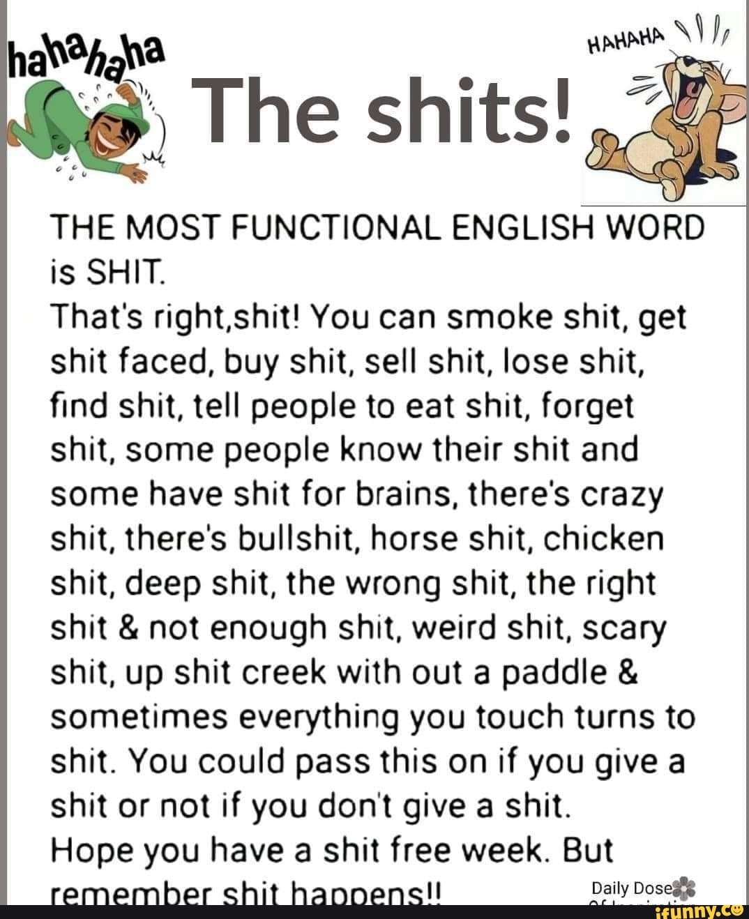 The shits! THE MOST FUNCTIONAL ENGLISH WORD is SHIT. That's right,shit ...