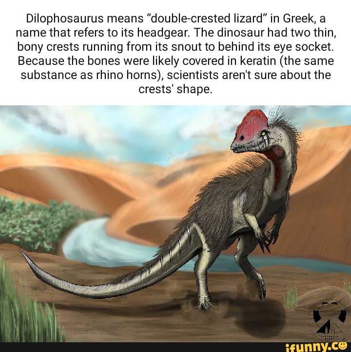 Crests memes. Best Collection of funny Crests pictures on iFunny