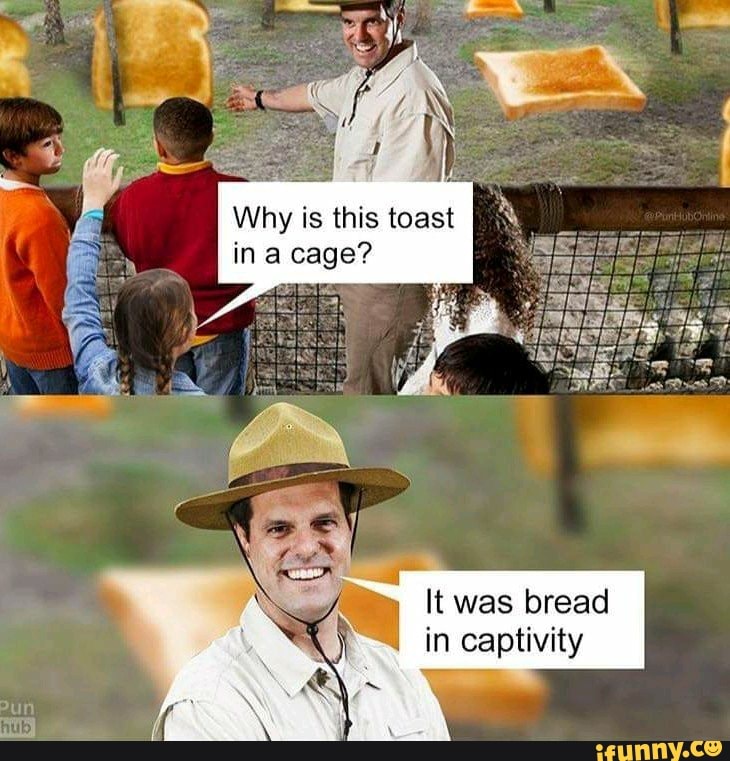 Why is this toast ina cage? It was bread in captivity - iFunny