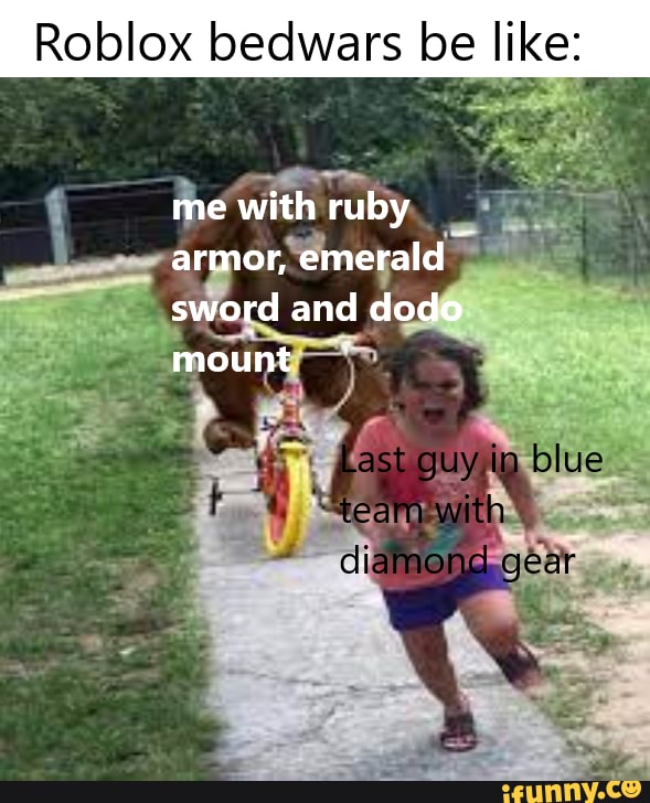 Roblox bedwars be like: me with ruby armor, emerald sword and dodo ...