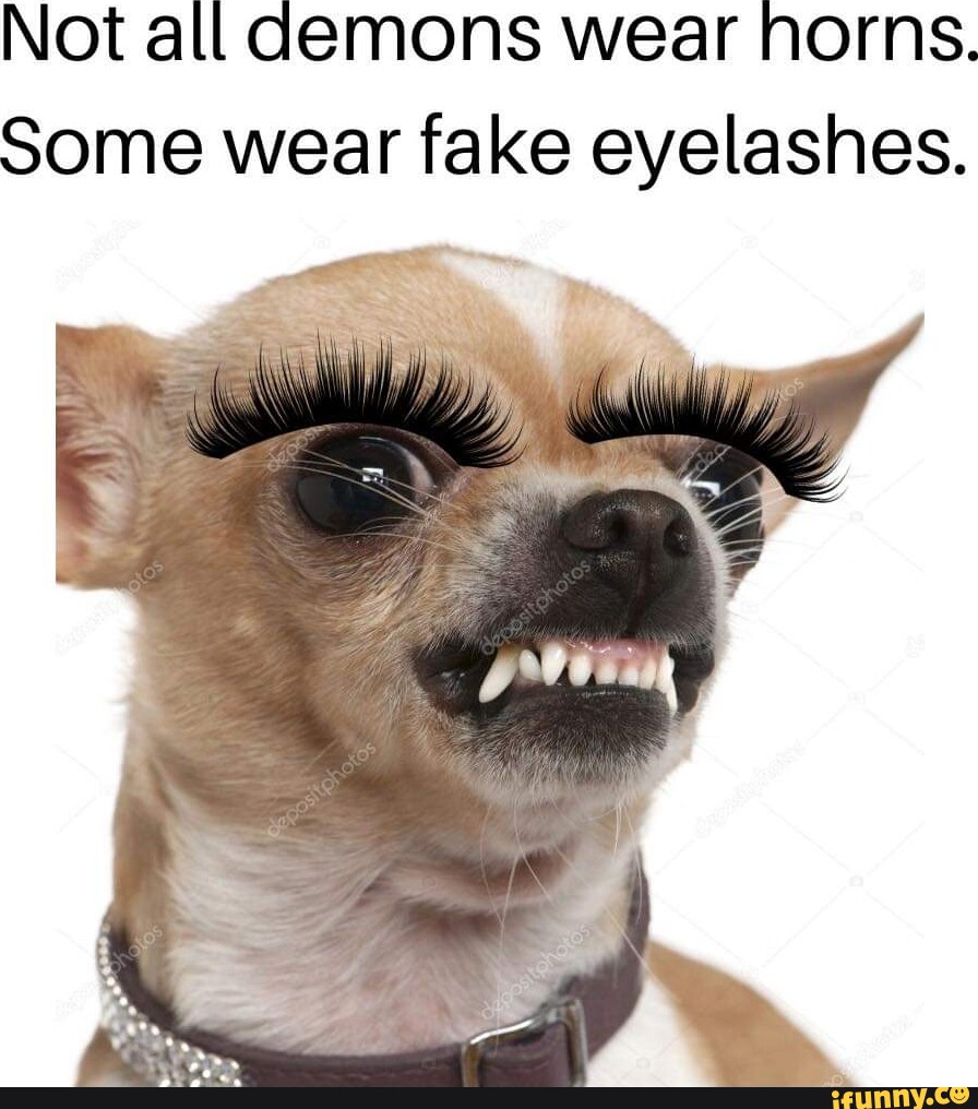 Dog Fake Eyelashes