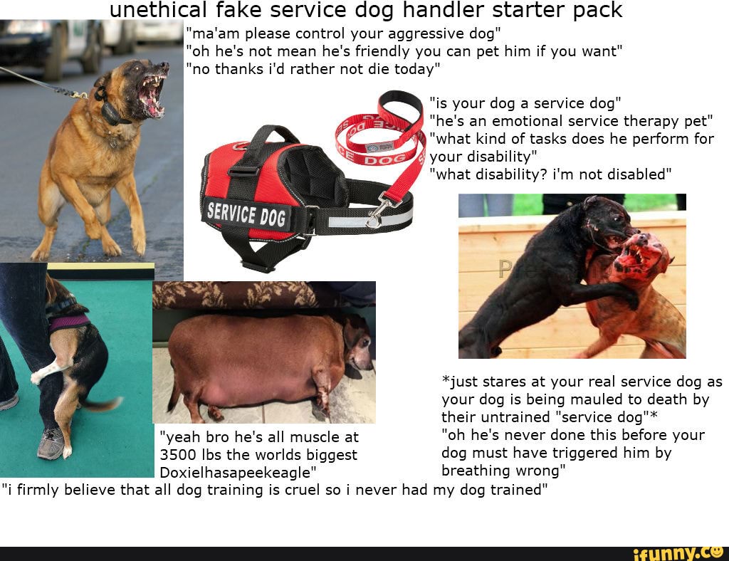 Unethical fake service dog handler starter pack "ma'am please control ...