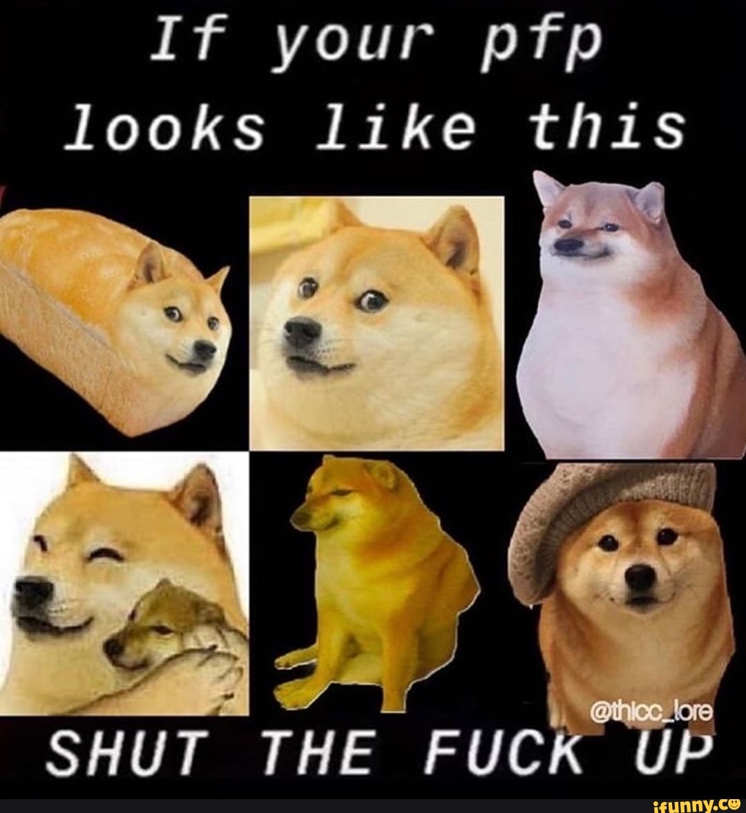 If your pfp looks like this SHUT THE FUCK UP - iFunny