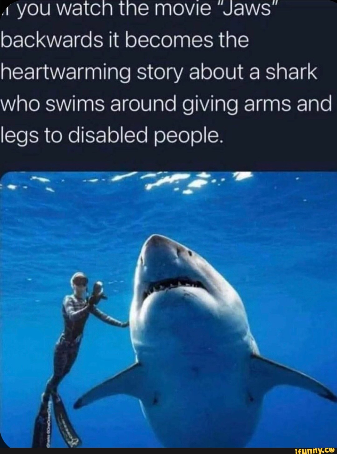 YOU watch the movie Jaws" backwards it becomes the heartwarming story ...