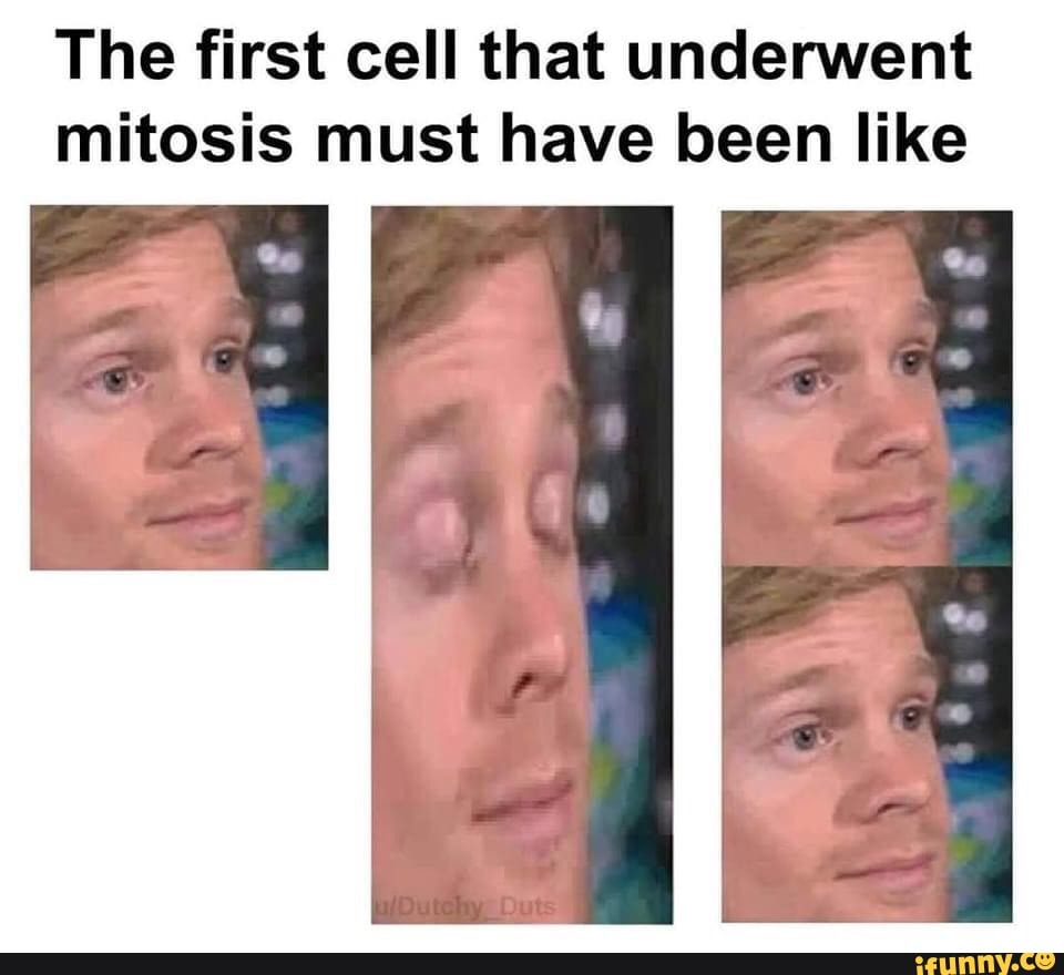 Mitosis memes. Best Collection of funny Mitosis pictures on iFunny