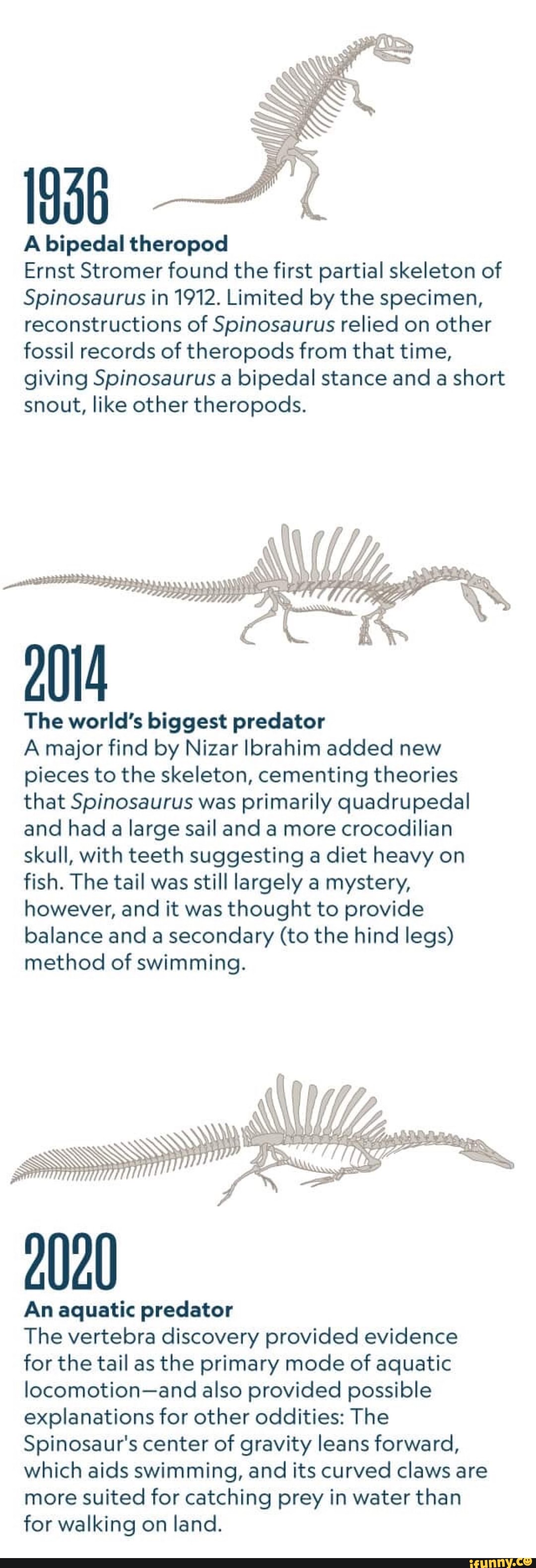 Stromer memes. Best Collection of funny Stromer pictures on iFunny