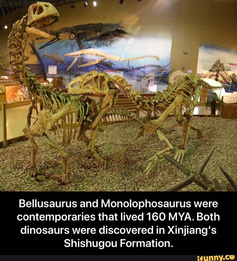 Monolophosaurus memes. Best Collection of funny Monolophosaurus ...