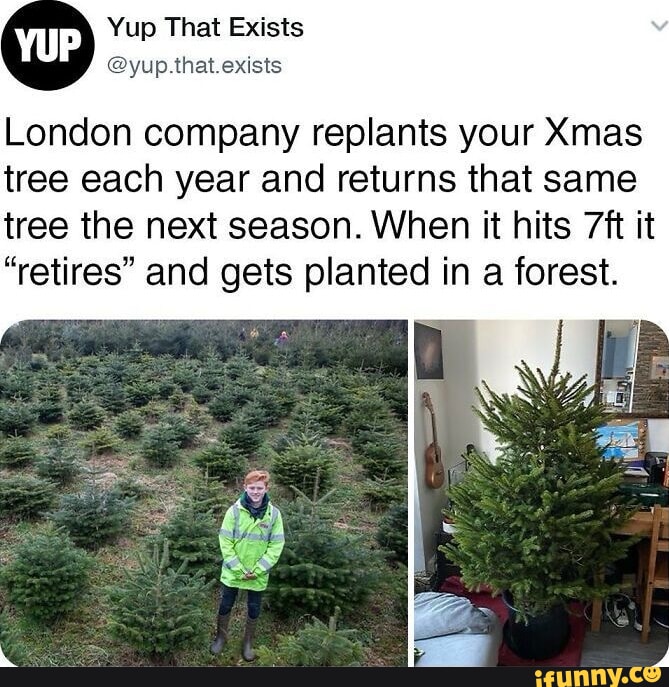 How to Wear a Plate Carrier A @cbrnart Basics Guide Introduction ...