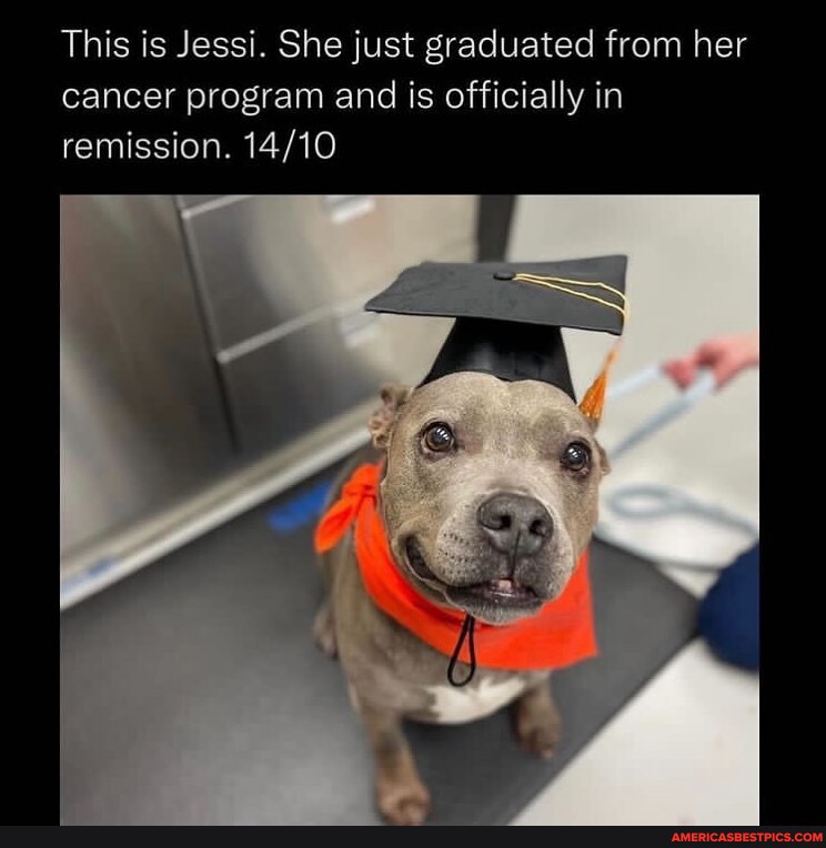 Congrats to Jessi, the goodest and bestest little girl 🥳 - This is ...
