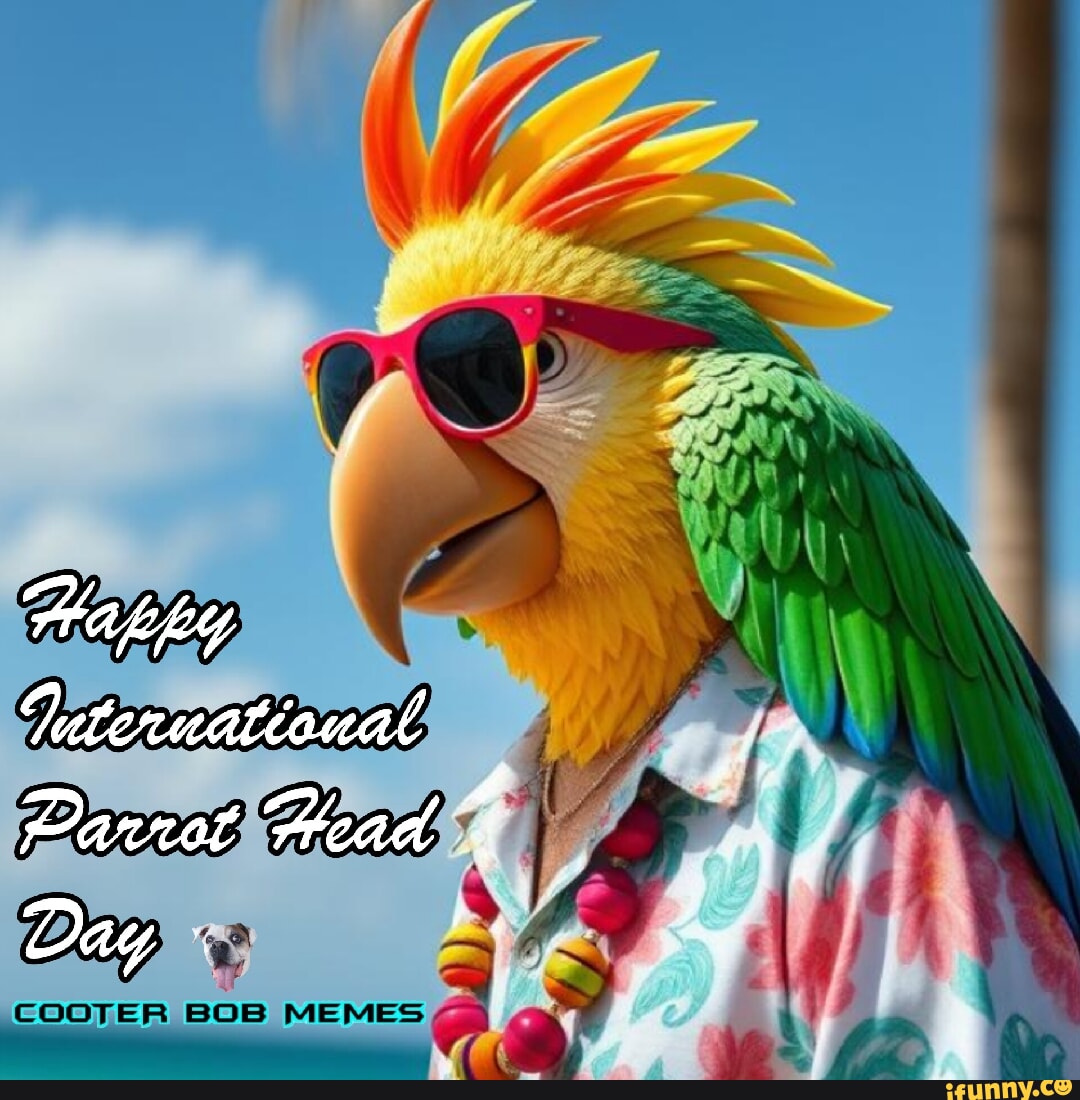 Parrothead memes. Best Collection of funny Parrothead pictures on iFunny