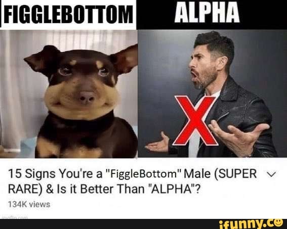 FIGGLEBOTTOM 15 Signs You're "FiggleBottom" Male (SUPER RARE) & Is it ...