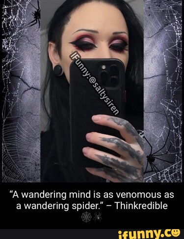I’m pretty - "A wandering mind is as venomous as a wandering spider ...
