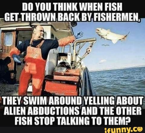 DO YOU THINK WHEN FISH THROWN GET BACK BY, FISHERM THEY SWIM AROUND ...