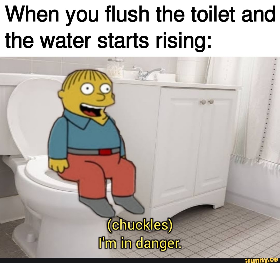 When you flush the toilet and the water starts rising: danger> - iFunny