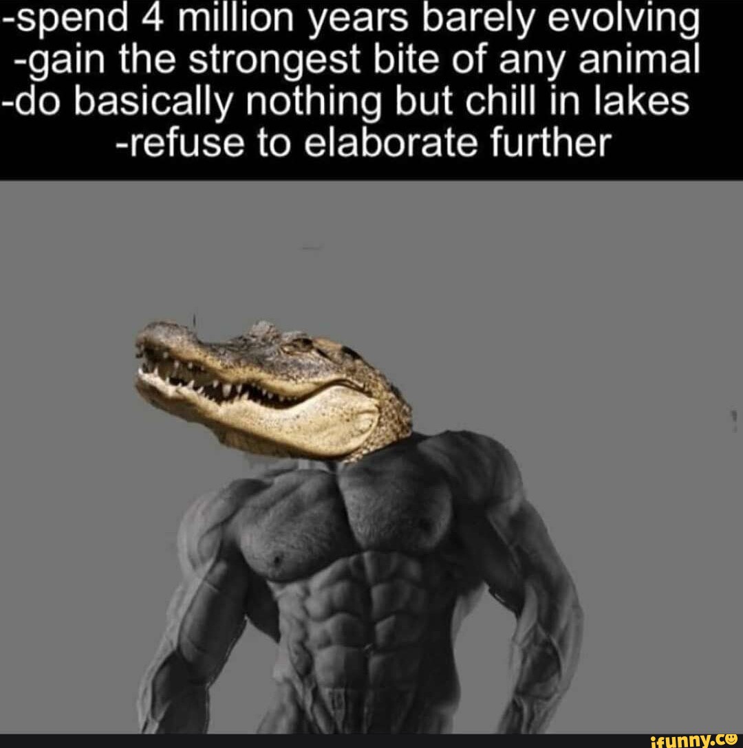 Bite memes. Best Collection of funny Bite pictures on iFunny