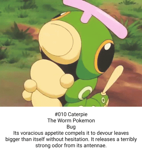 Caterpie memes. Best Collection of funny Caterpie pictures on iFunny