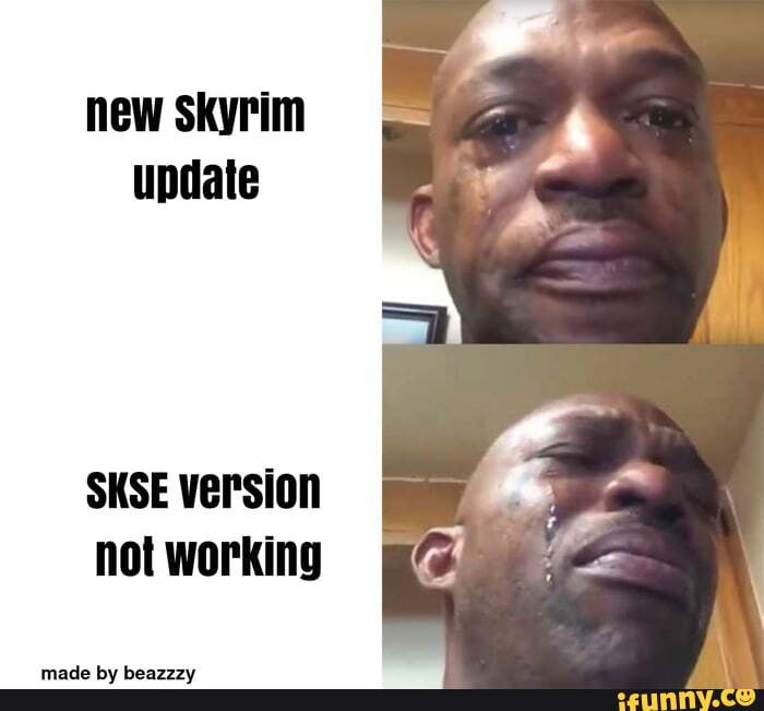 New skyrim update SKSE version not working made by beazzzy - iFunny