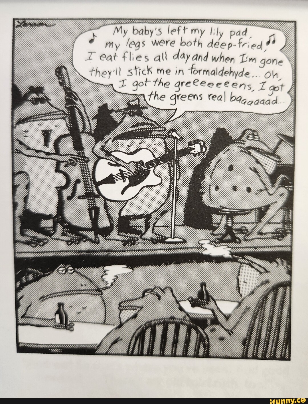 My ray baby's left my I Iily pad y /egs were both ddep- ed. eat flies ...