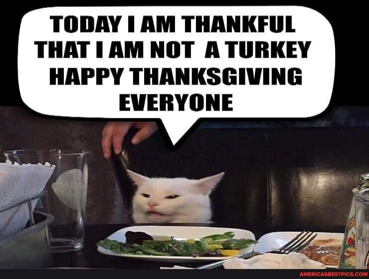TODAY AM THANKFUL THAT AM NOT A TURKEY HAPPY THANKSGIVING EVERYONE ...