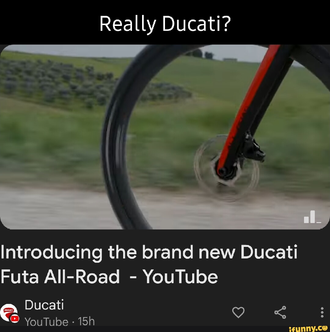 Ducati memes. Best Collection of funny Ducati pictures on iFunny