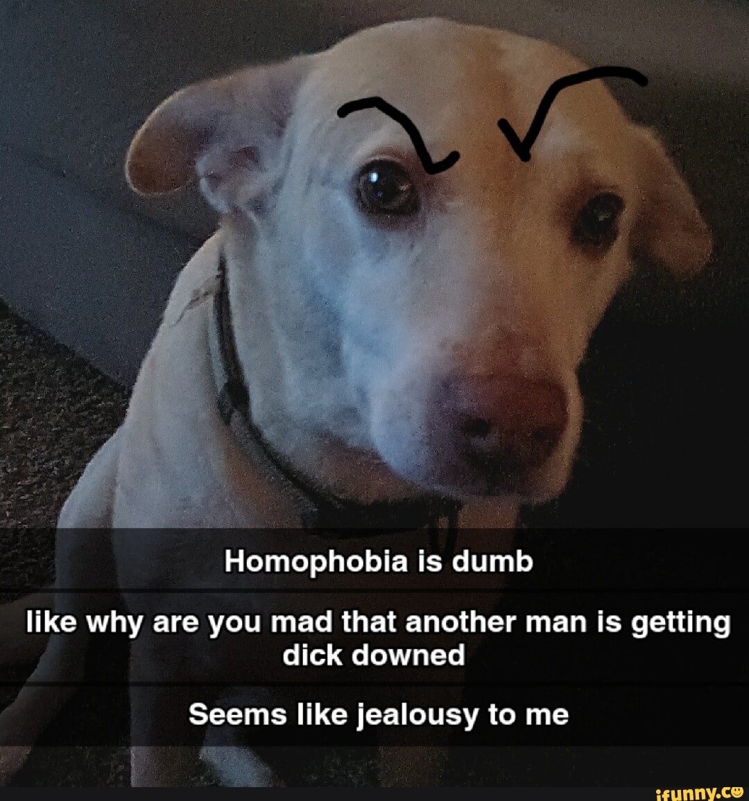 Homophobia memes. Best Collection of funny Homophobia pictures on iFunny