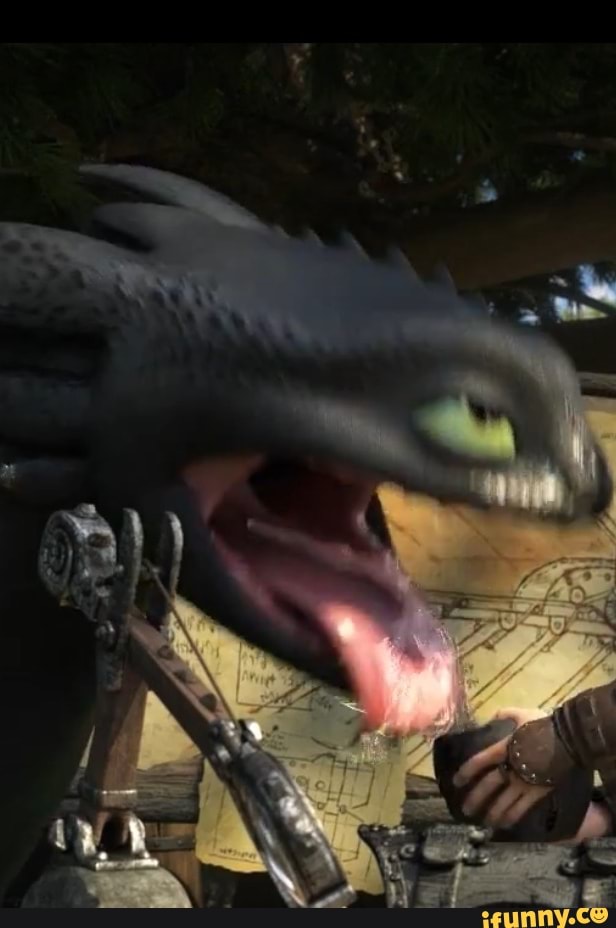 Httyd3 memes. Best Collection of funny Httyd3 pictures on iFunny