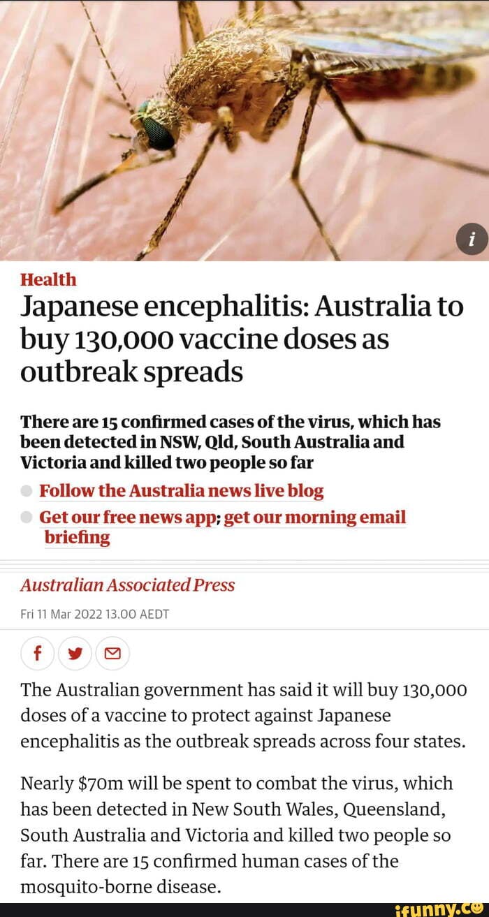 Japanese_encephalitis memes. Best Collection of funny Japanese ...