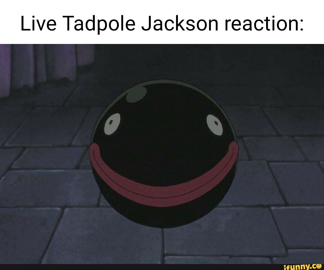 Tadpole memes. Best Collection of funny Tadpole pictures on iFunny