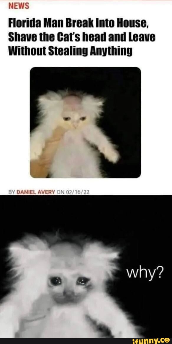 HEWS Florida Man Break Into House, Shave the Cat's head and Leave ...