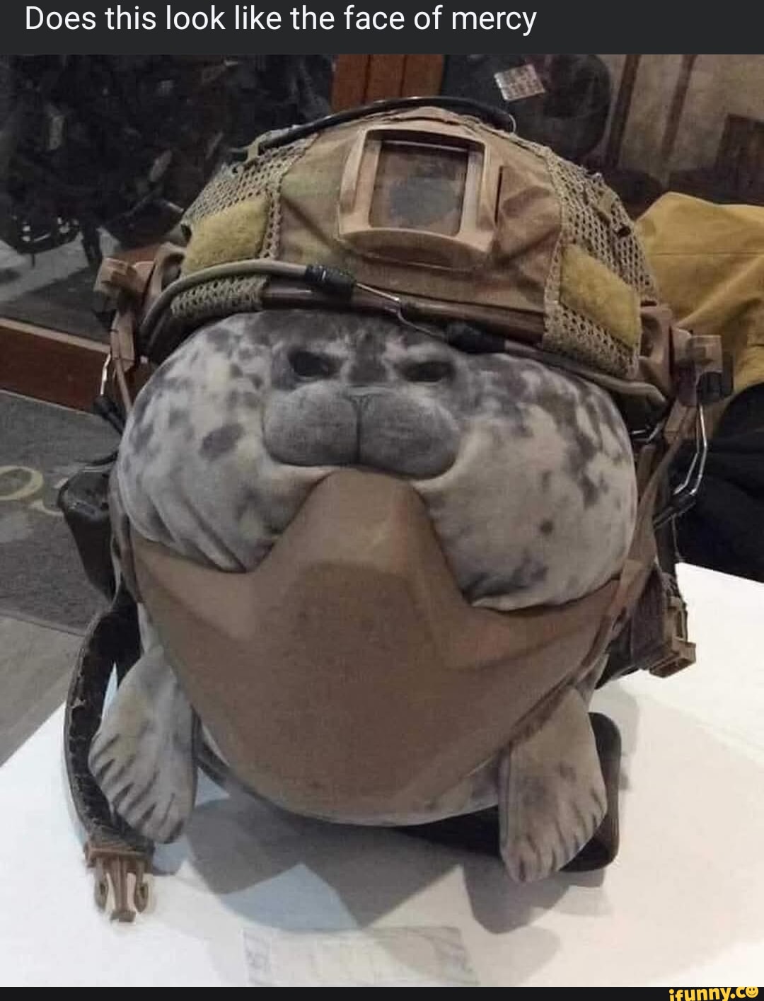 Does this look like the face of mercy - iFunny