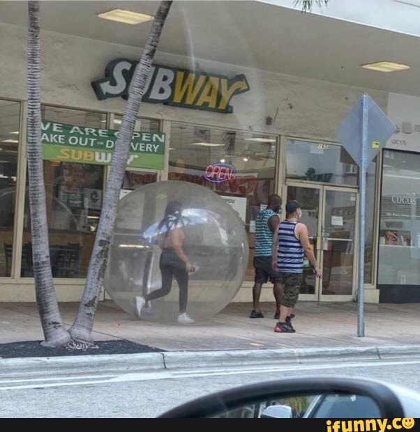 Hamsterball memes. Best Collection of funny Hamsterball pictures on iFunny