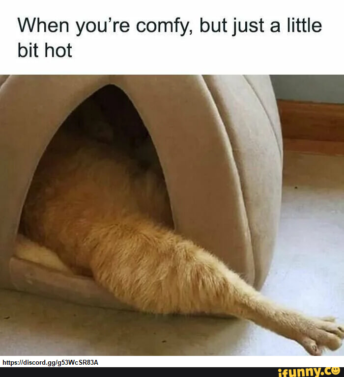 When you're comfy, but just a little bit hot - iFunny