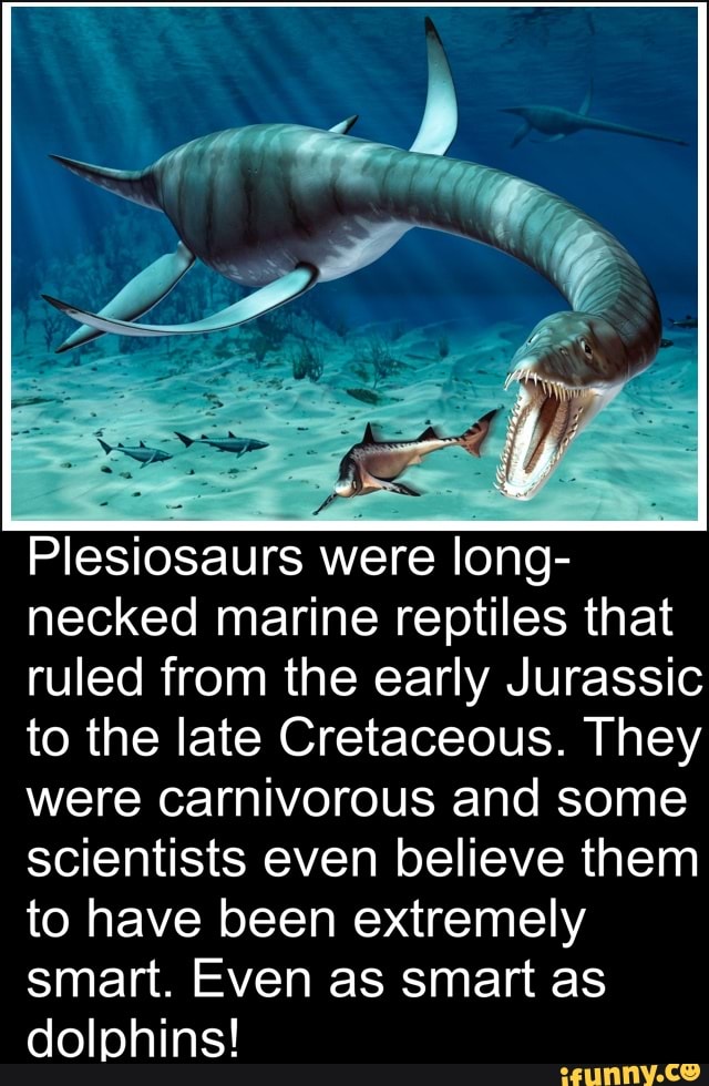 Plesiosaurs were long- necked marine reptiles that ruled from the early ...