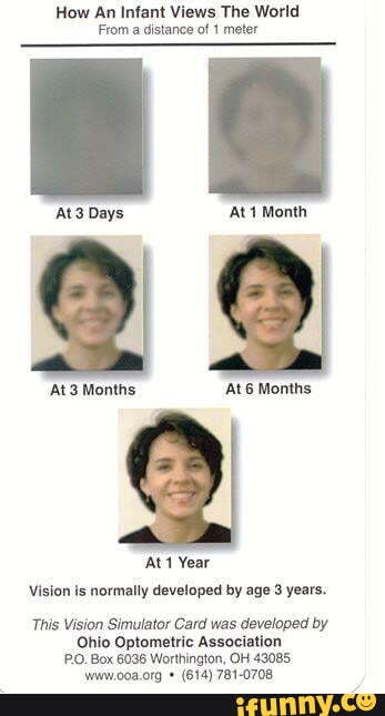 How An Infant Views The World From a distance of meter Days Month Months Months Year Vision is ...