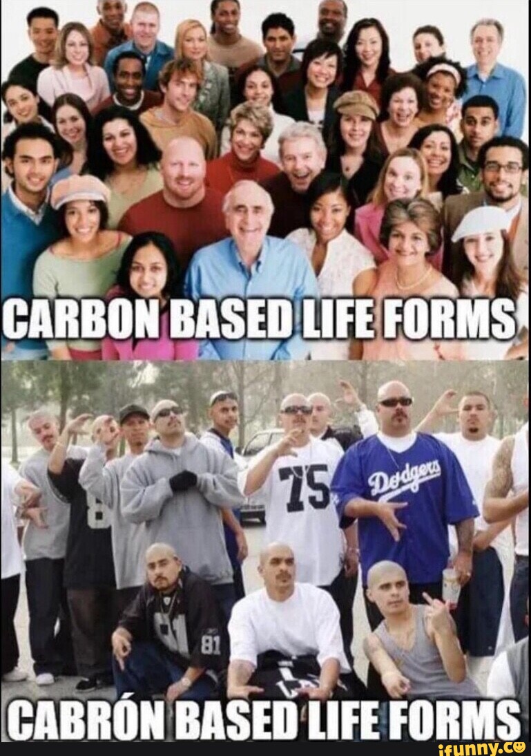 CARBON BASED LIFE FORMS I CABRON BASED LIFE FORMS - iFunny
