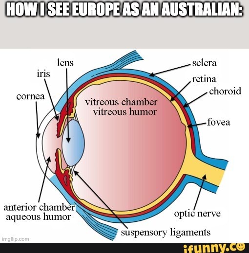 Cornea memes. Best Collection of funny Cornea pictures on iFunny