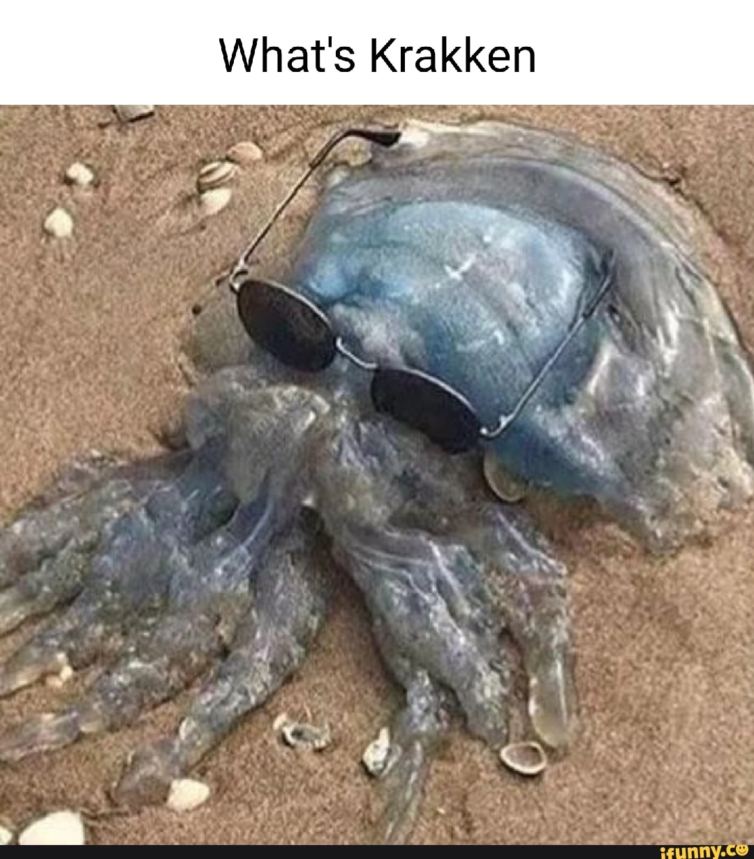 Krakken memes. Best Collection of funny Krakken pictures on iFunny
