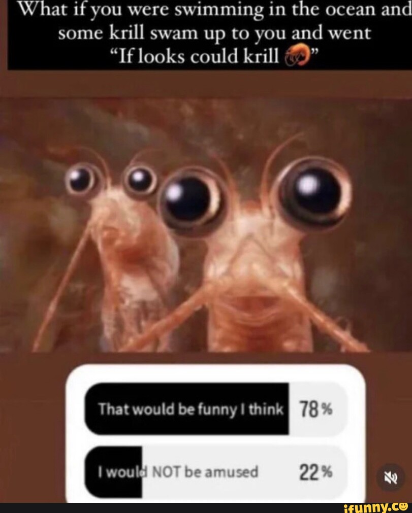 What if you were swimming in the ocean and some krill swam up to you ...