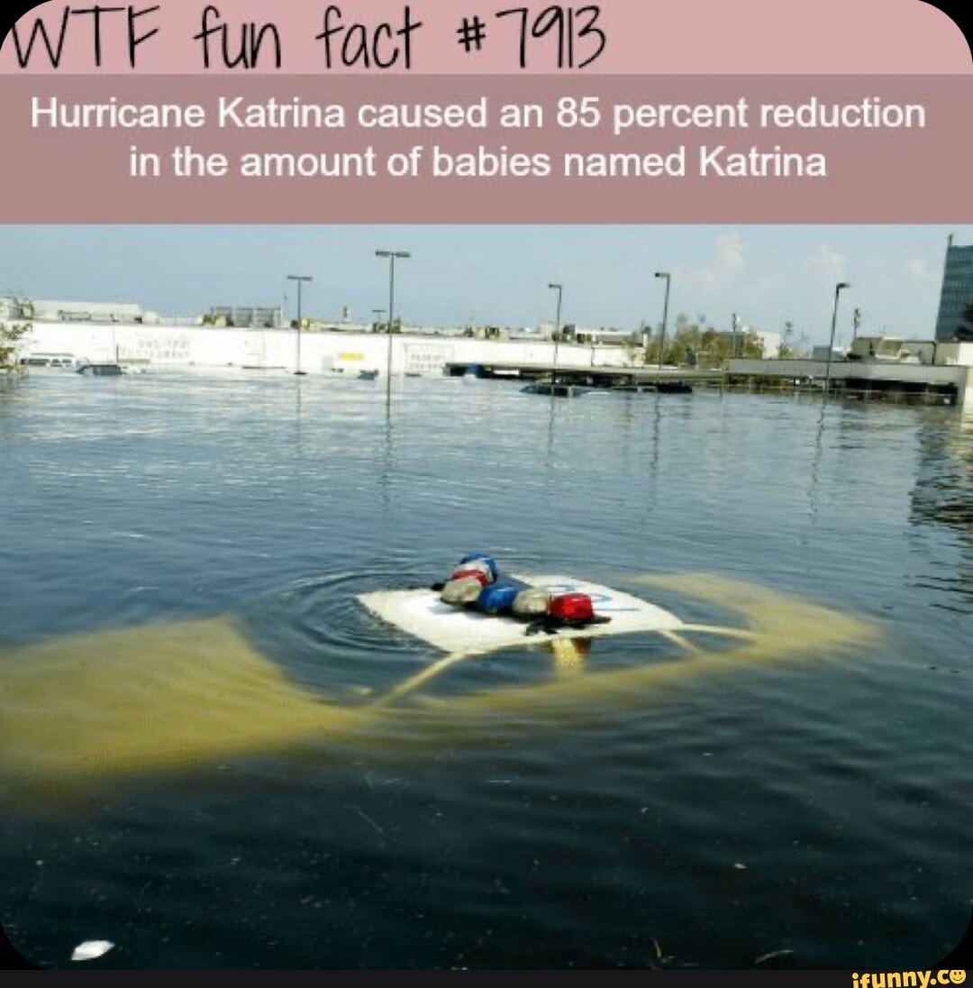 ANTE fun tact Hurricane Katrina caused an 85 percent reduction in the ...