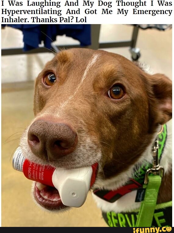 Hyperventilating Meme