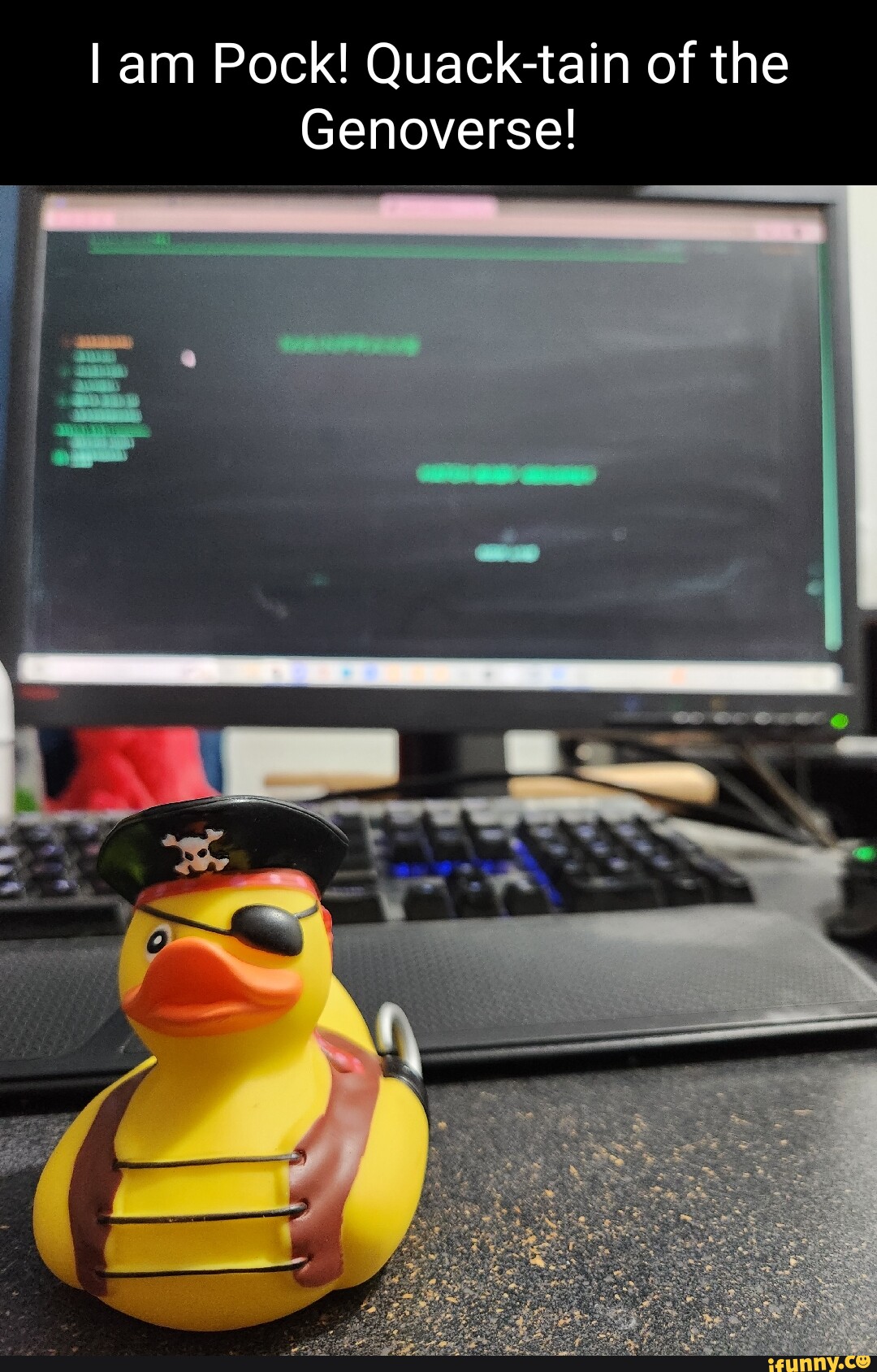 Pock memes. Best Collection of funny Pock pictures on iFunny