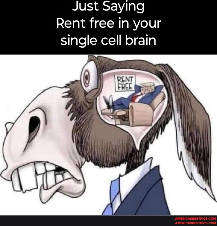 Just Saying Rent free in your single cell brain - America’s best pics ...