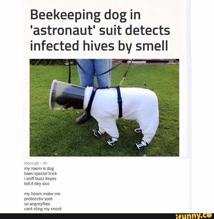 Hives memes. Best Collection of funny Hives pictures on iFunny