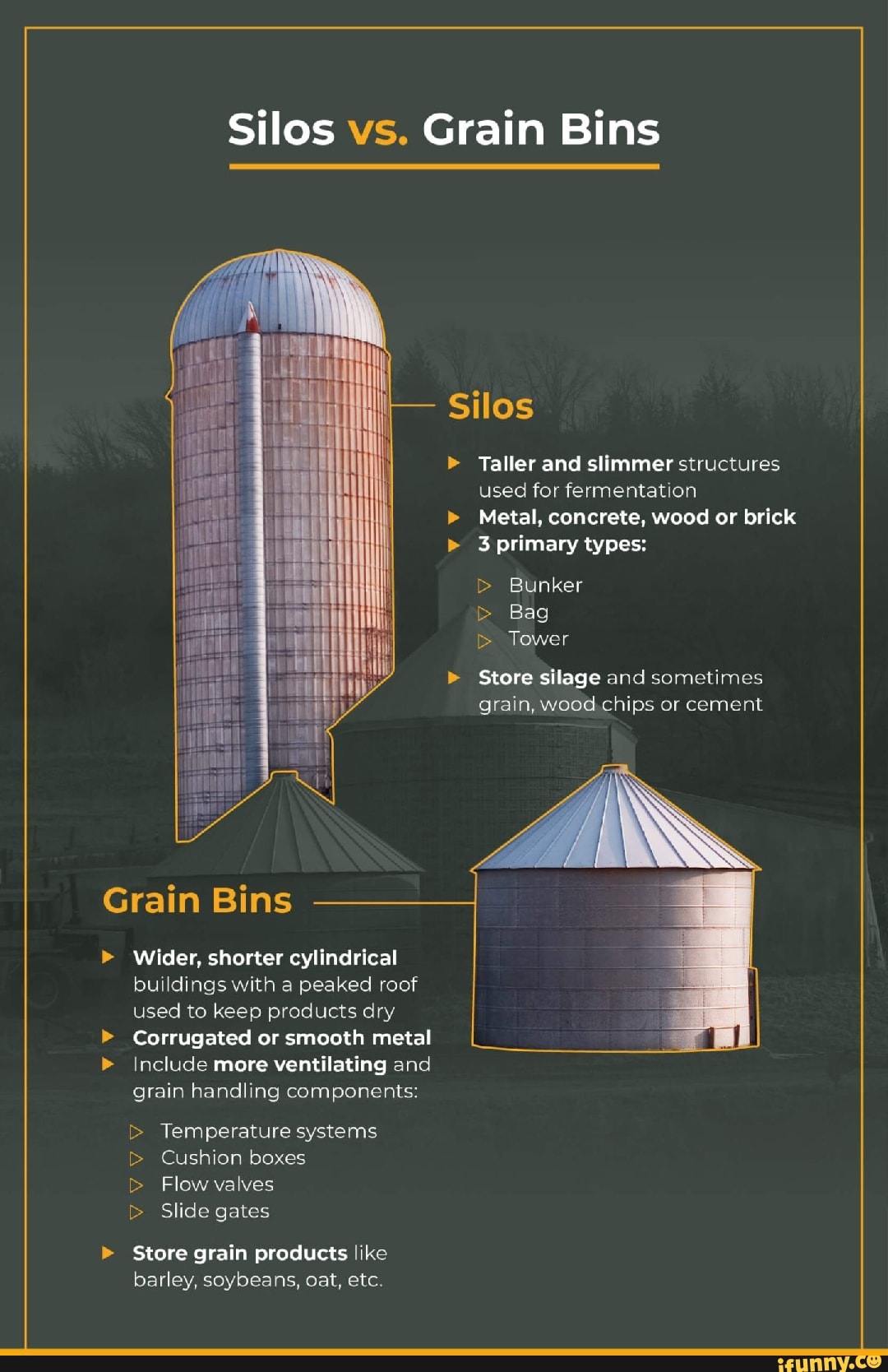 Silage memes. Best Collection of funny Silage pictures on iFunny