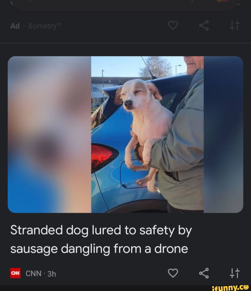 Flying_weiner memes. Best Collection of funny Flying_weiner pictures on ...