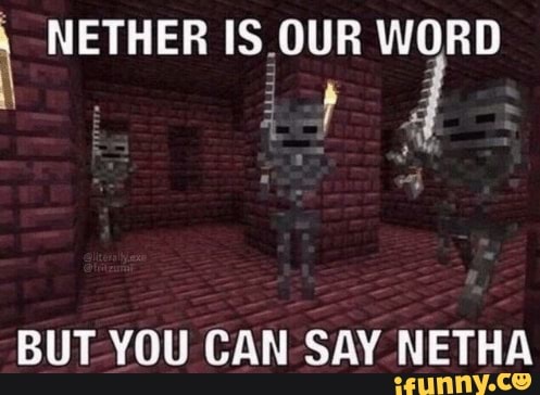 NETHER IS OUR WORD BUT YOU CAN SAY NETHA - iFunny