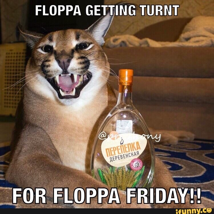FLOPPA GETTING TURNT FOR FLOPPA FRIDAY! - iFunny